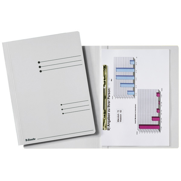 Esselte map met schuifdeklijst grijs A4 (50 stuks) Esselte 123inkt.be